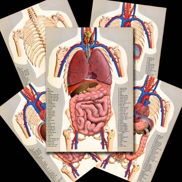 SKULL PILE CORNER PIECE – Ghost Ride Productions INC.