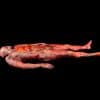 AUTOPSY BURNED MALE BODY – Ghost Ride Productions INC.