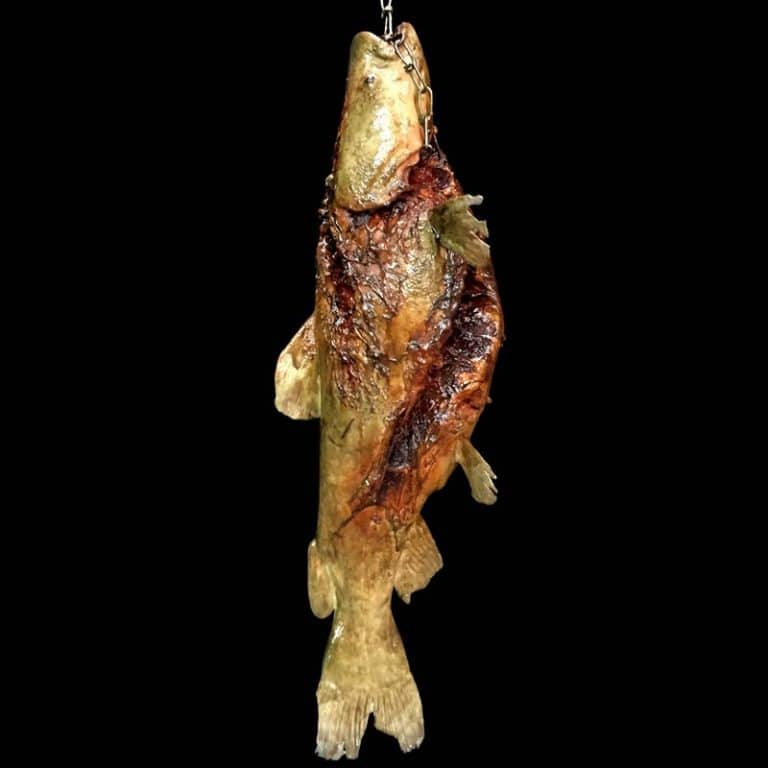 CATFISH CHAIN MOUTH RIB ROT – Ghost Ride Productions INC.