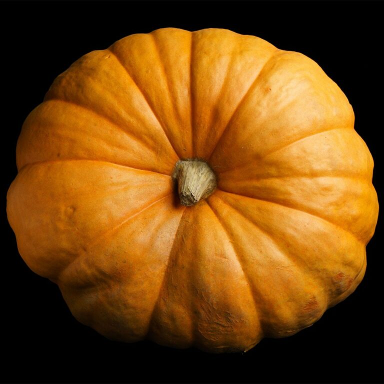 PORCH PUMPKINS 2017 – 6pc. – Ghost Ride Productions INC.